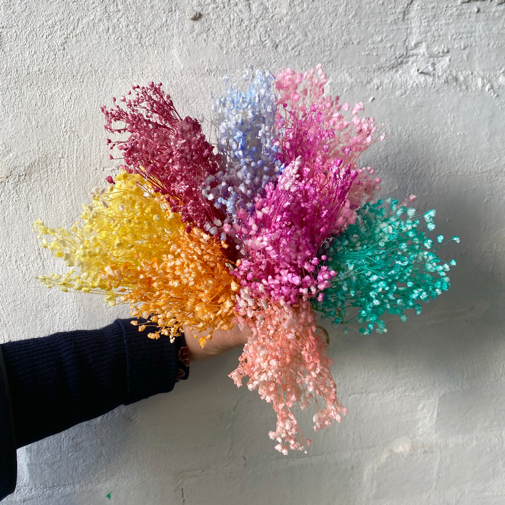 Dried/Preserved Gyp Bunch – Handcrafted Flowers